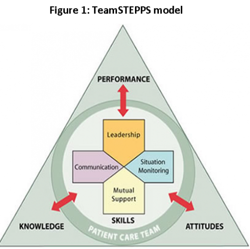 Enhance Patient Safety through TeamSTEPPS Program - Hospital ...